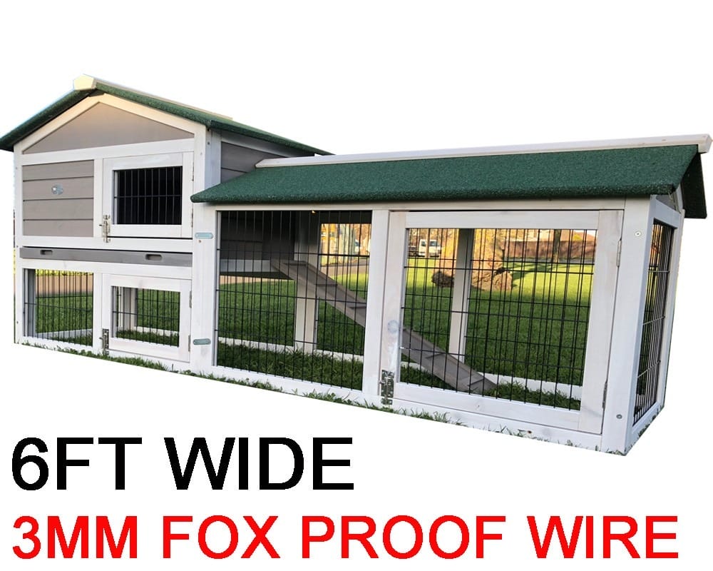 Rabbit Hutches | Eggshell